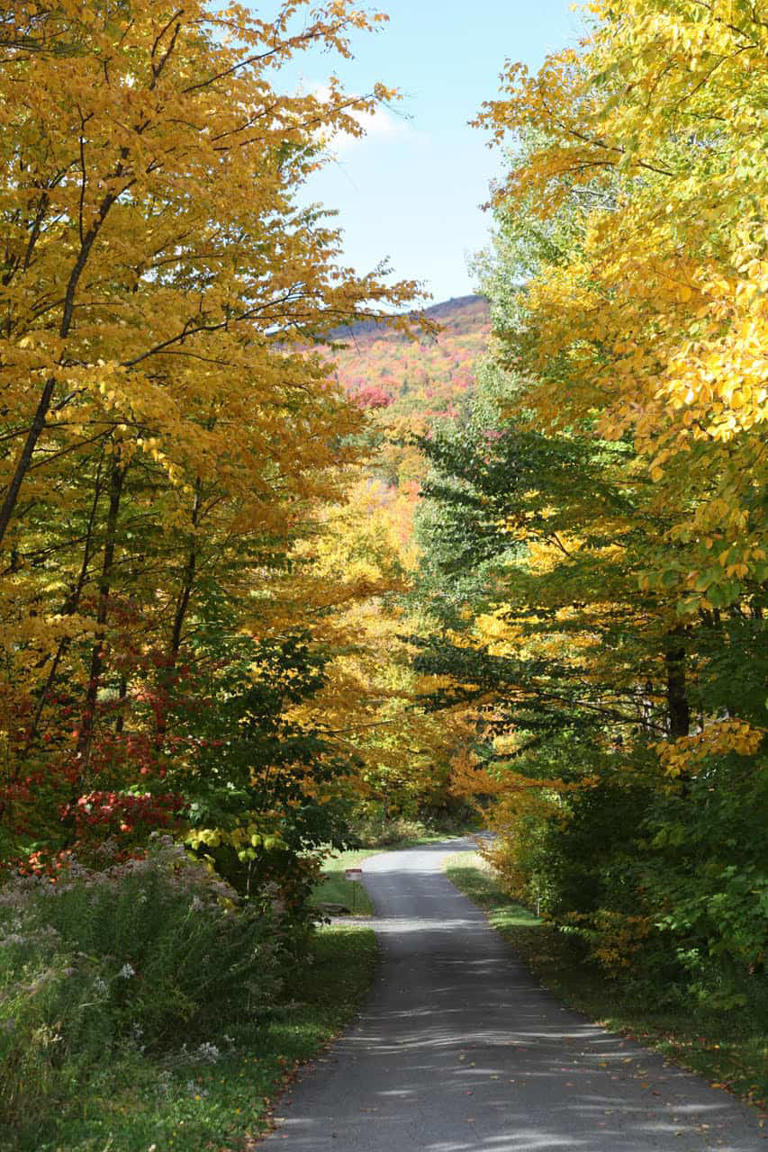 Vermont Fall Foliage- 11 Great Ways to Enjoy Fall in Vermont