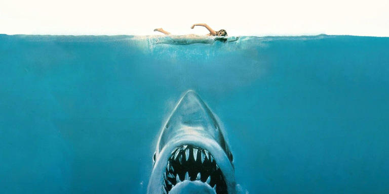 How Jaws Changed Quint's Death From the Book