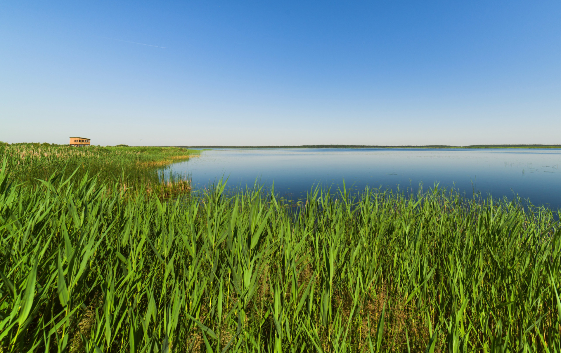 Un weekend de libre ? Cap sur la Lituanie