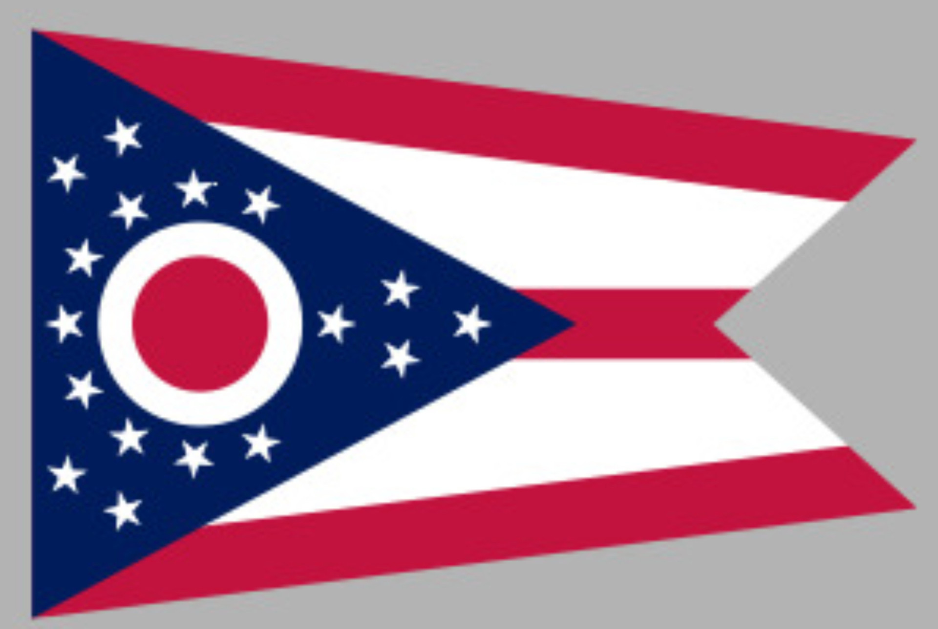 What do the 50 state flags of the US represent?