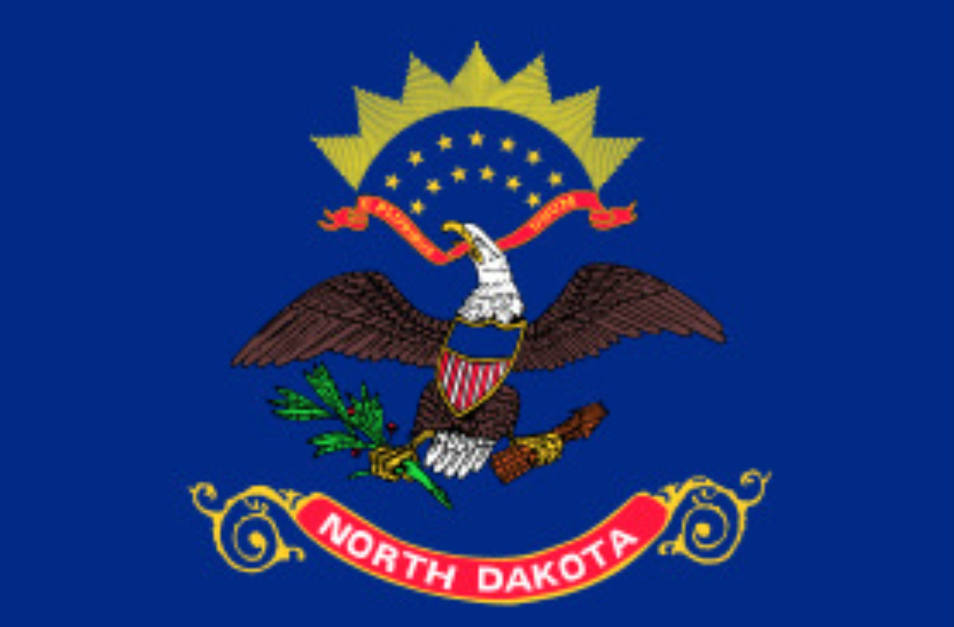 What do the 50 state flags of the US represent?