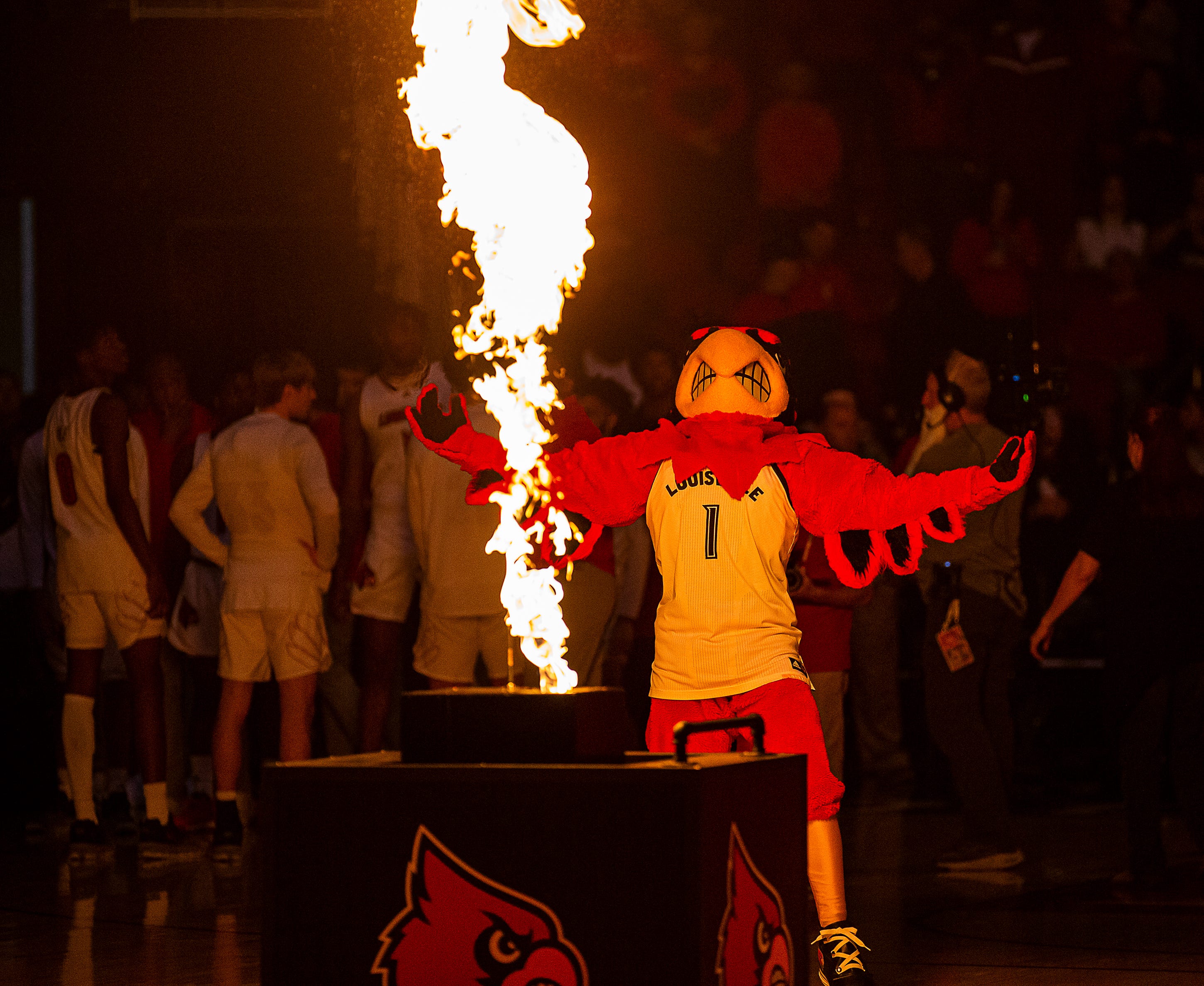 Louisville basketball schedule is complete. See Pat Kelsey's path in ...