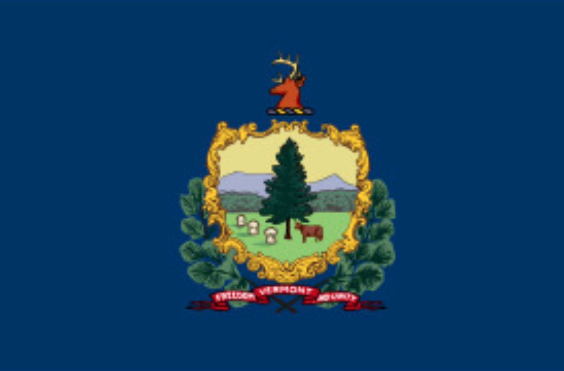 What do the 50 state flags of the US represent?