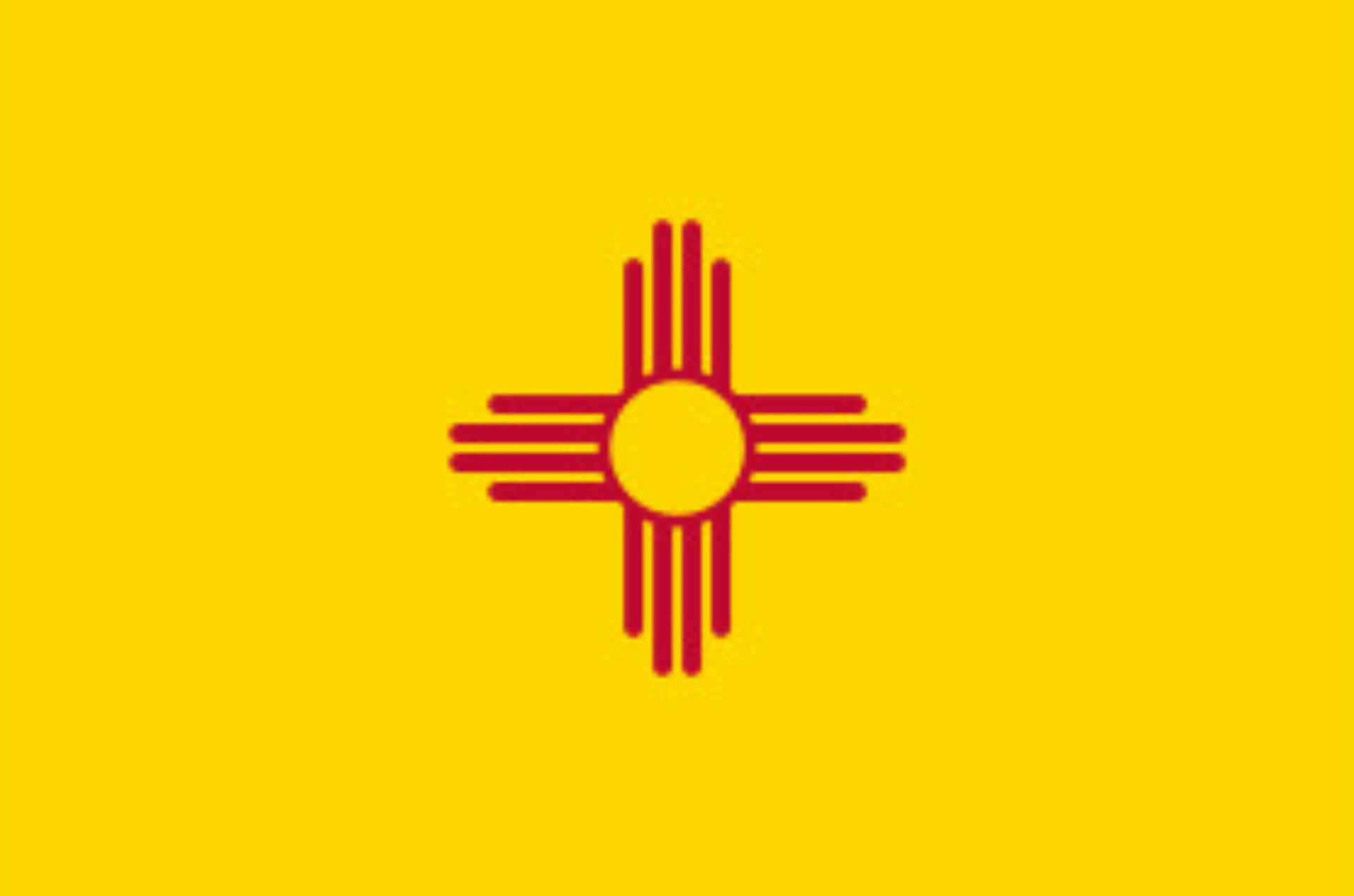 What do the 50 state flags of the US represent?