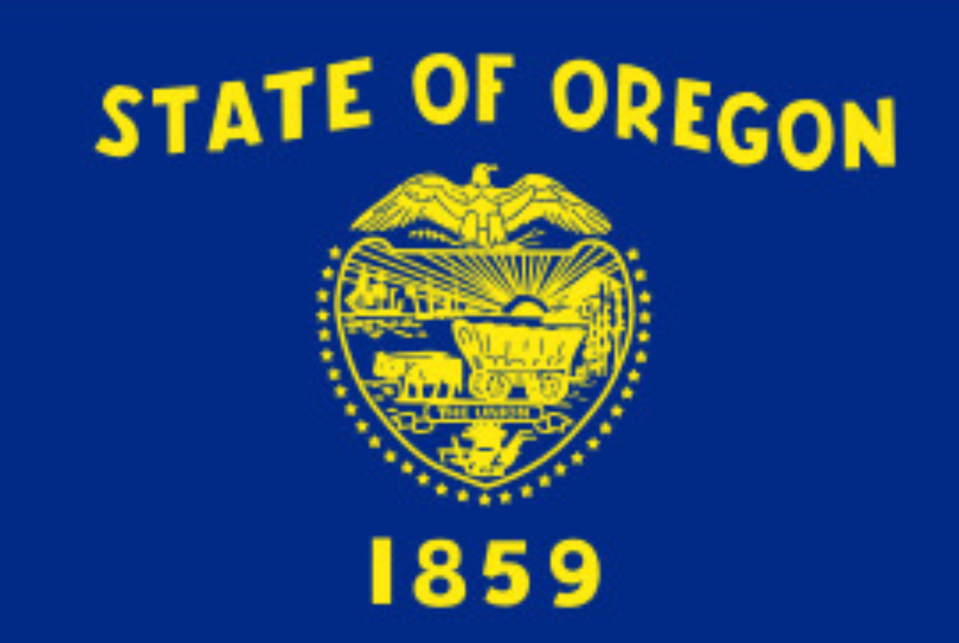 What do the 50 state flags of the US represent?