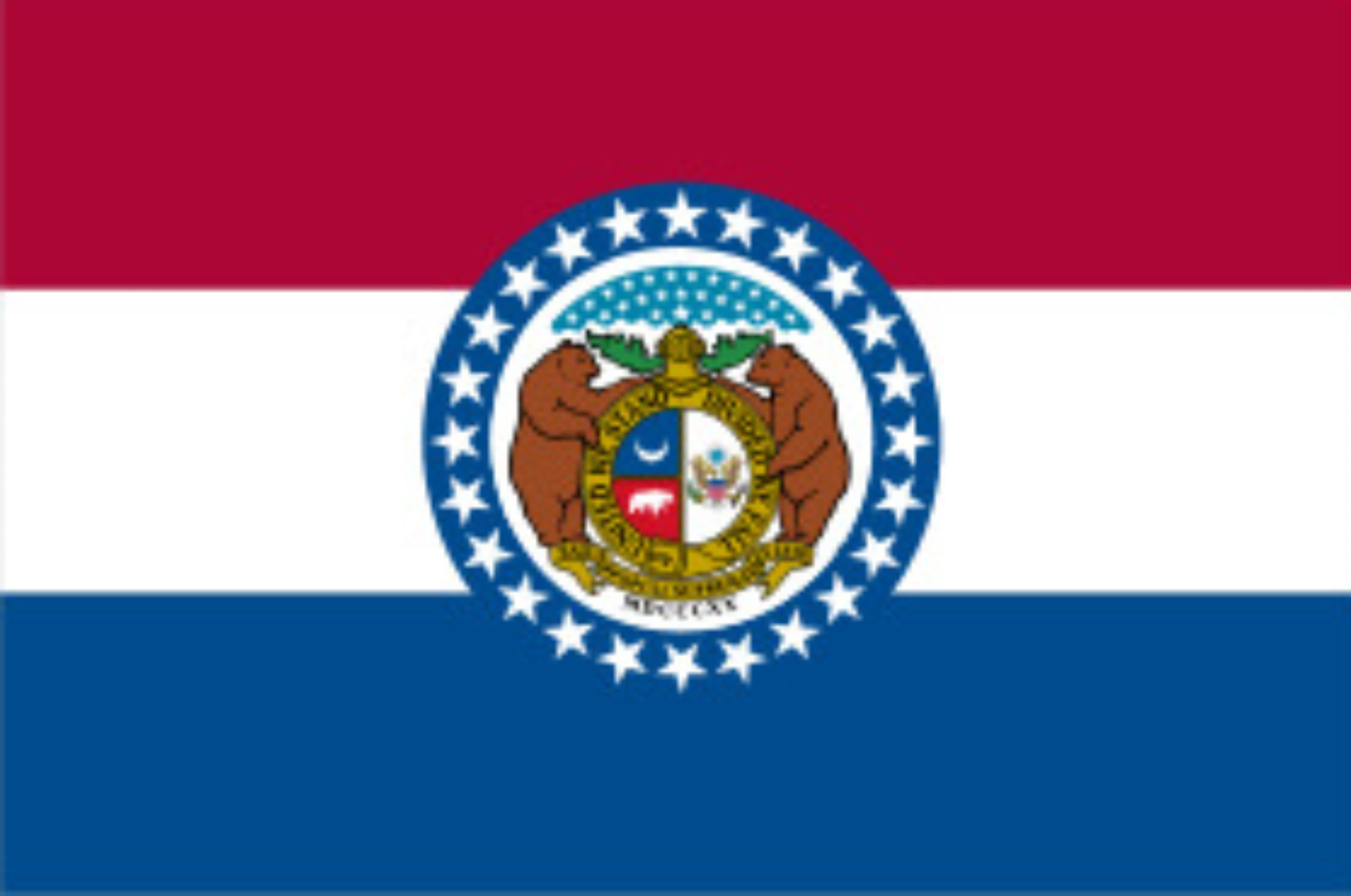 What do the 50 state flags of the US represent?