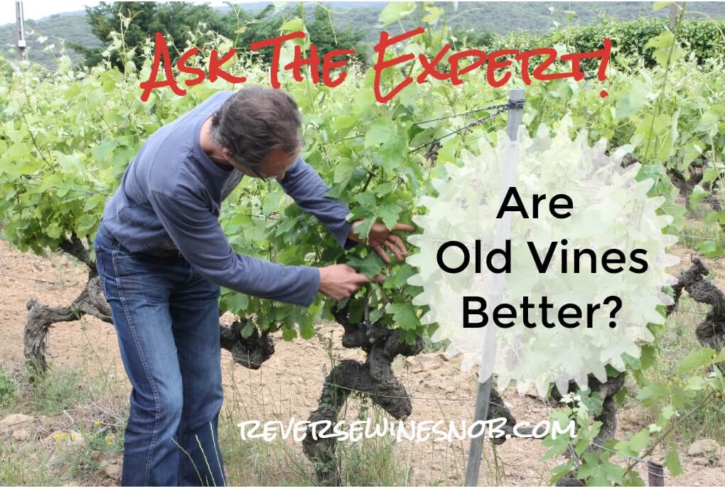 Do Old Vines Make Better Wine?
