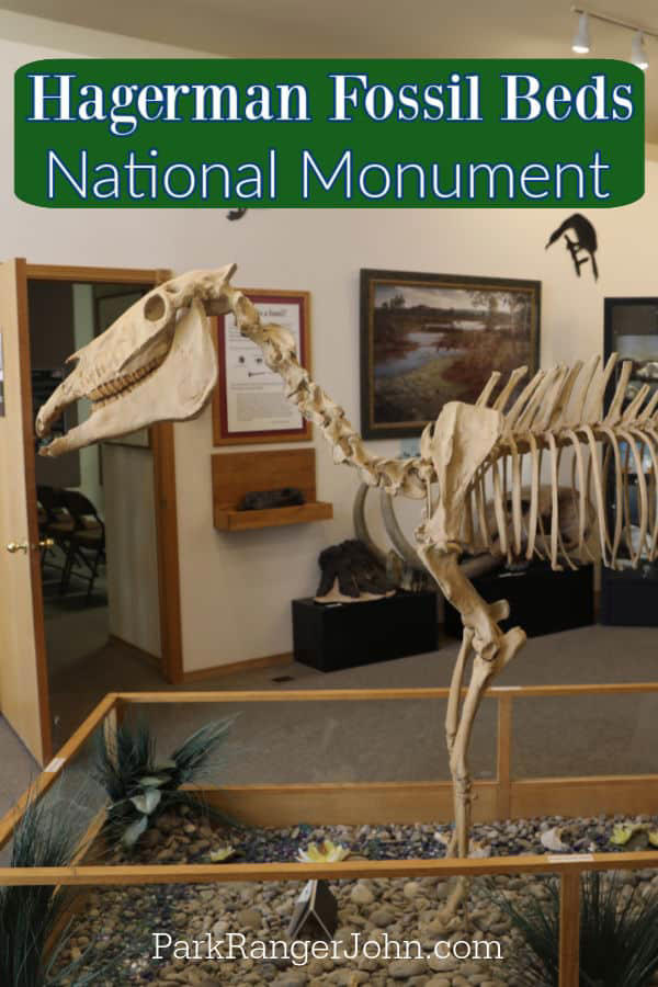 Hagerman Fossil Beds National Monument - Idaho