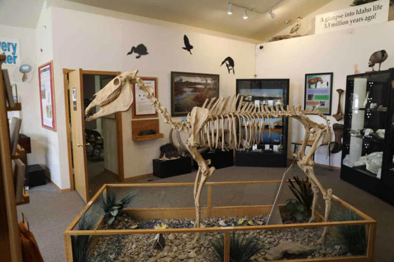 Hagerman Fossil Beds National Monument - Idaho