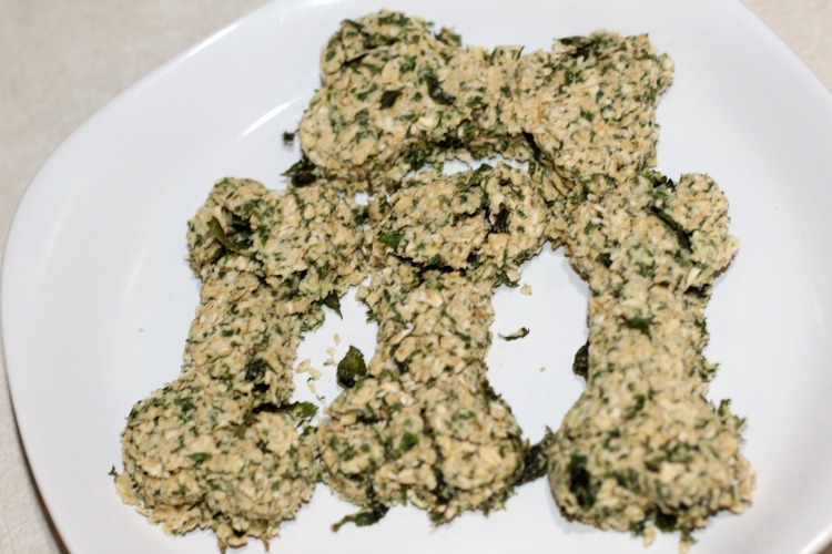 Easy Homemade Breath Dog Treat Recipe!