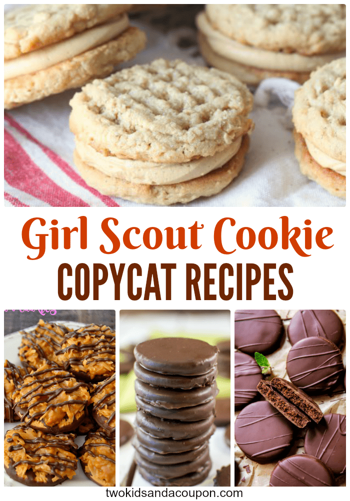 15 Girl Scout Cookie Copycat Recipes