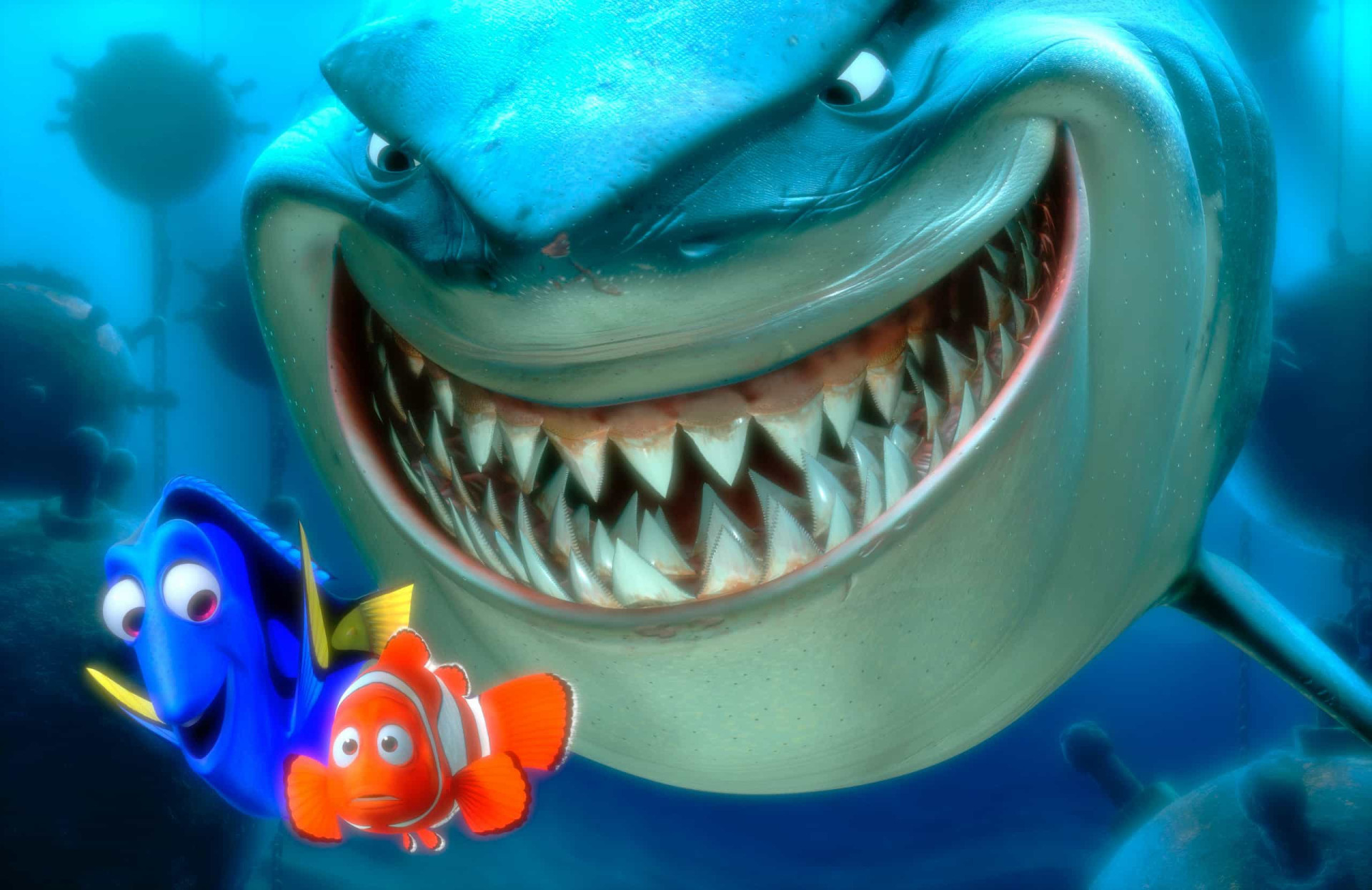 Why sharks are absolutely necessary to our existence