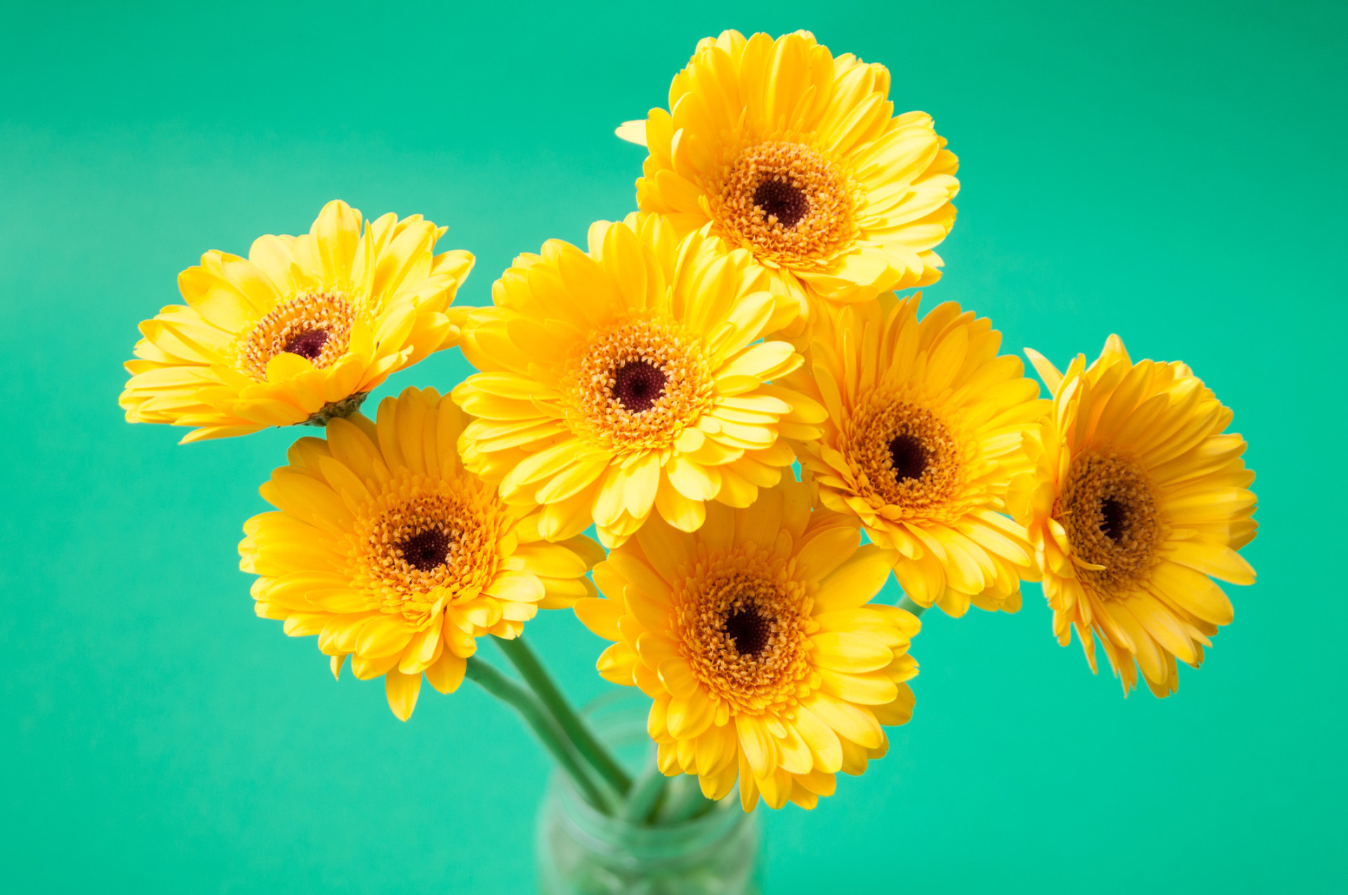 Inspiration til Valentinsdag: Der findes mange andre blomster end røde ...