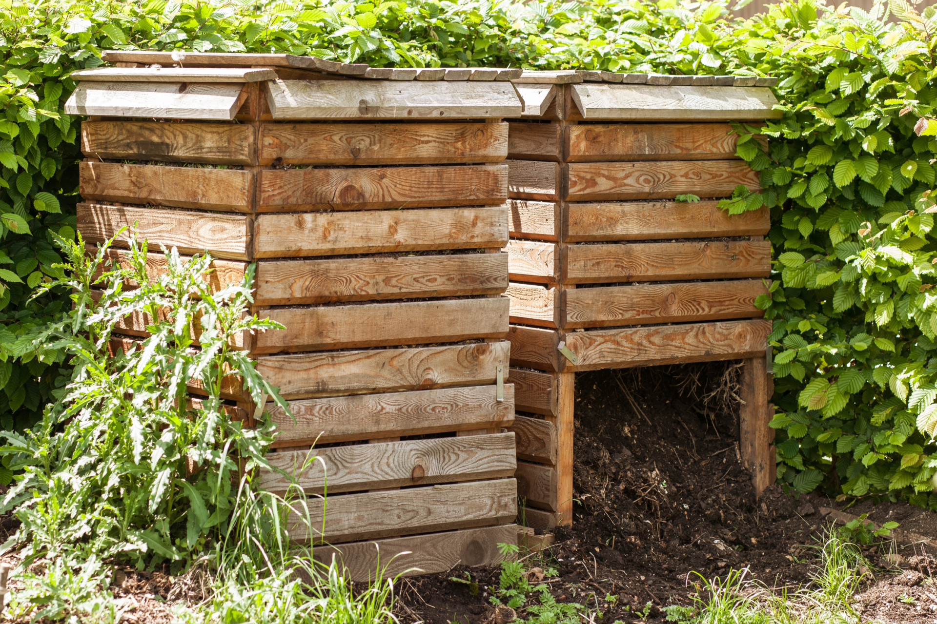 Top tips for home composting