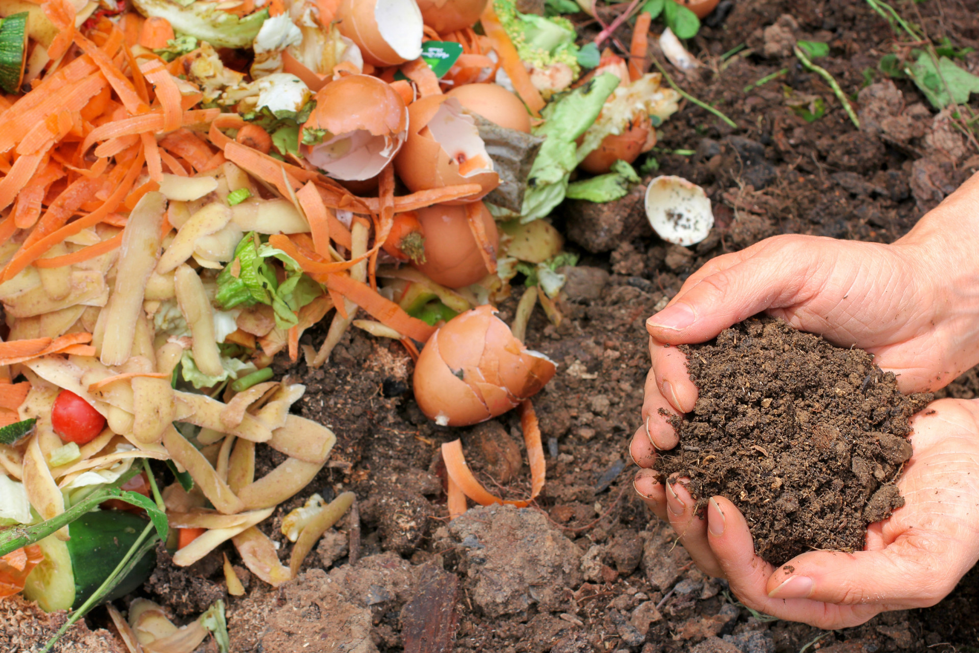 Top tips for home composting