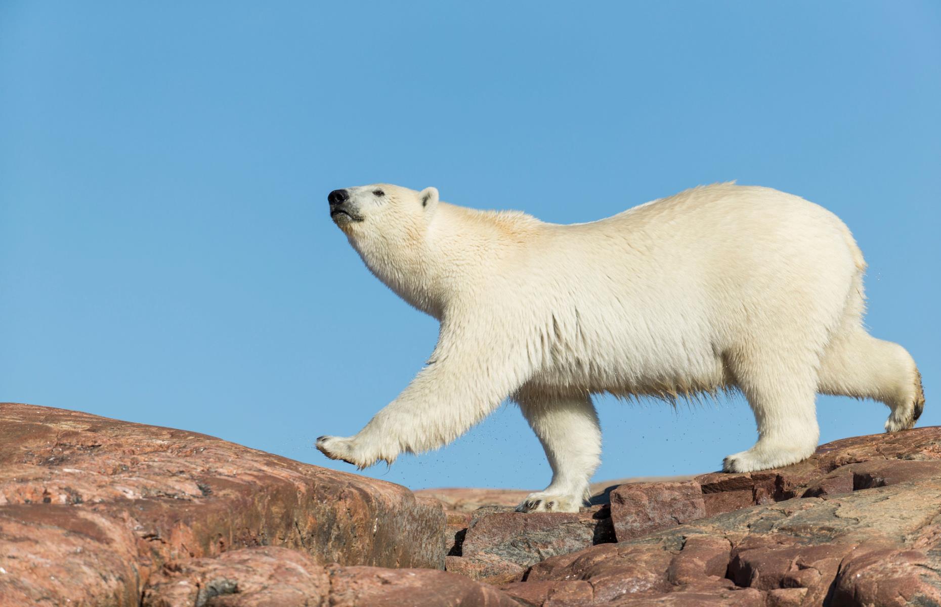 33 surprising facts about Canada you likely never knew