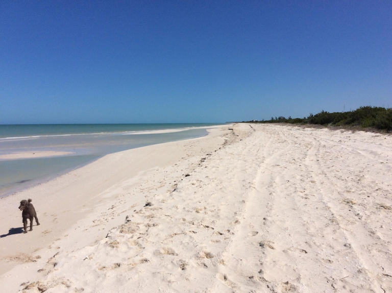 9 Best Beach Towns in Mexico That Aren't Cancun: A Local's Guide