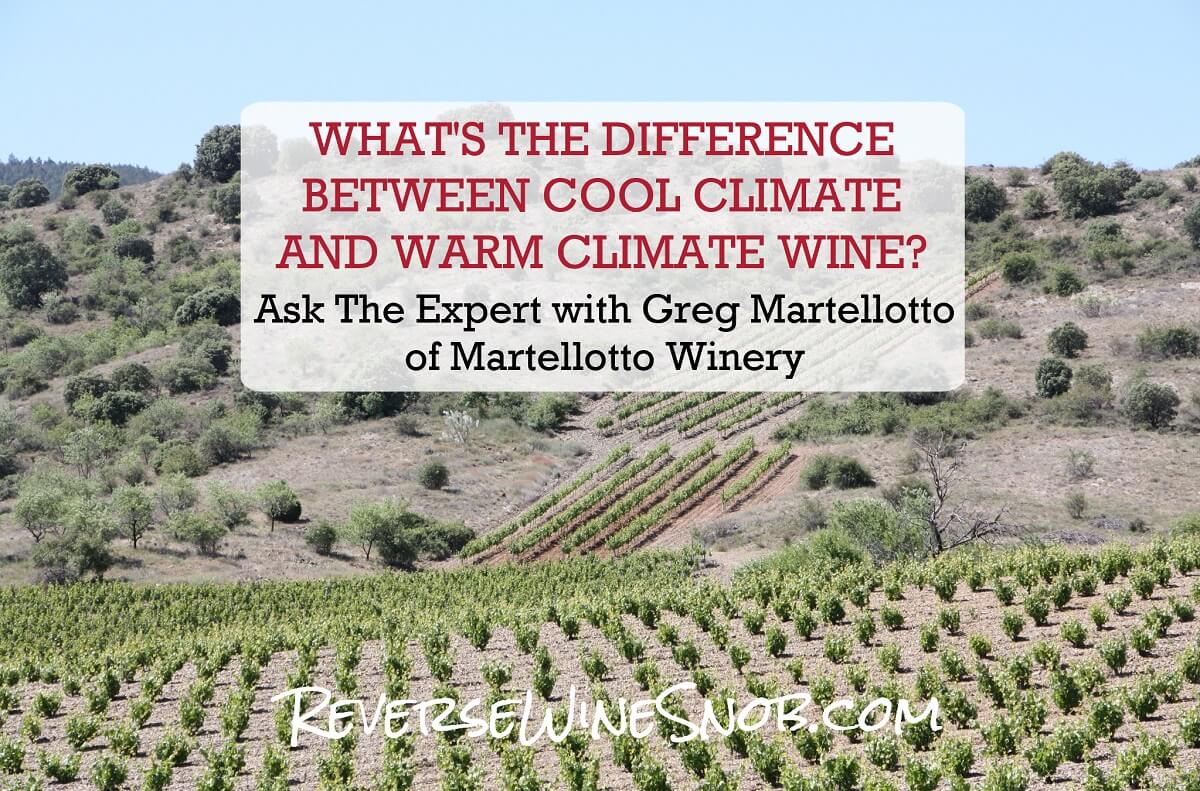 What's the Difference Between Cool Climate and Warm Climate Wine?