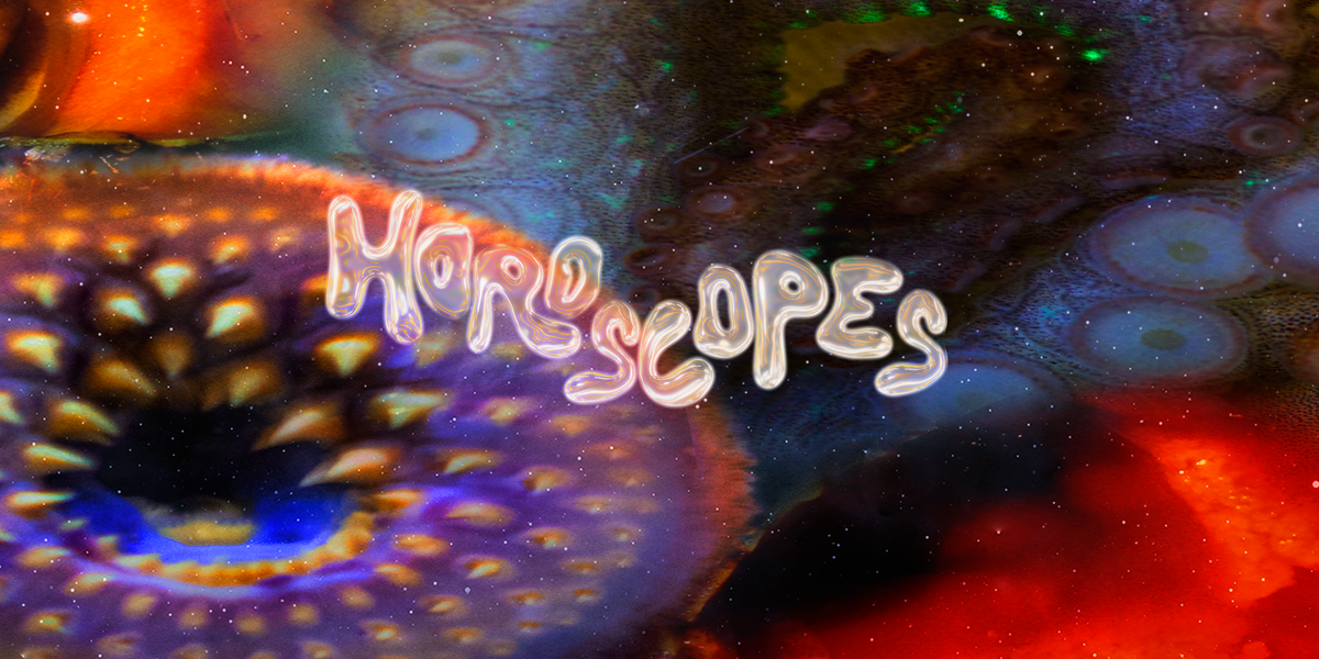 Your weekly horoscope: Predictions for each star sign for the week ...