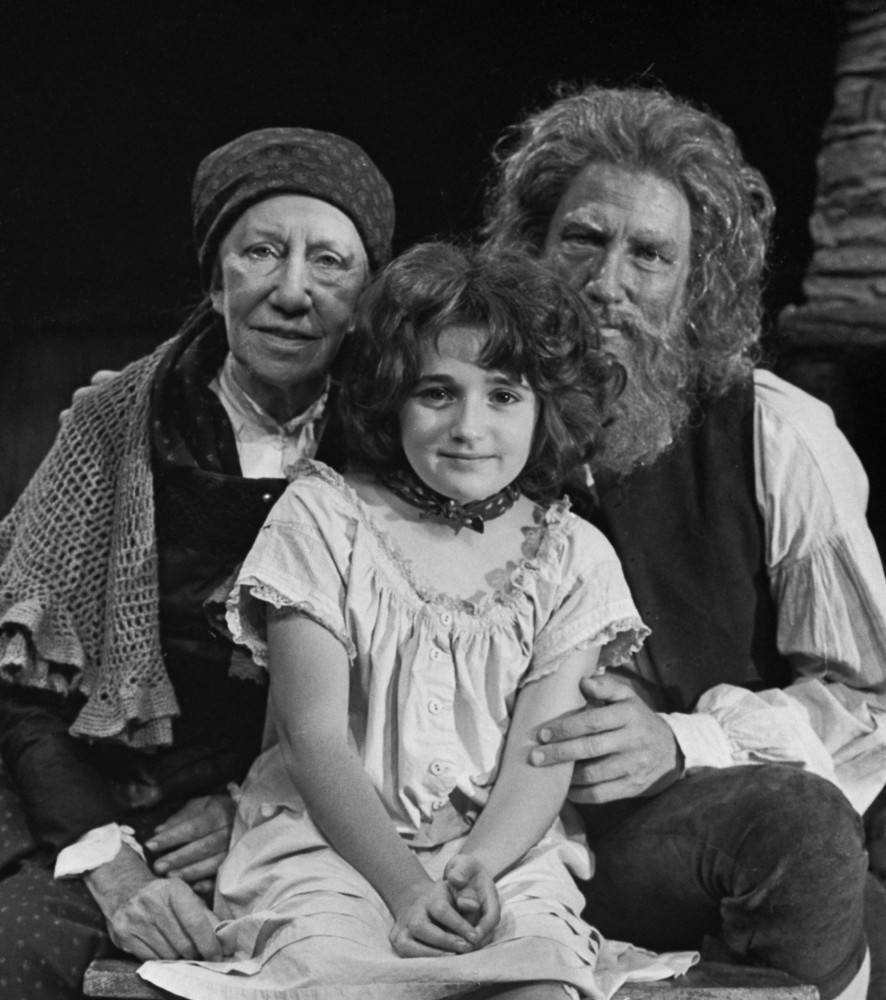 Who is Heidi? Exploring the myth behind the Swiss miss