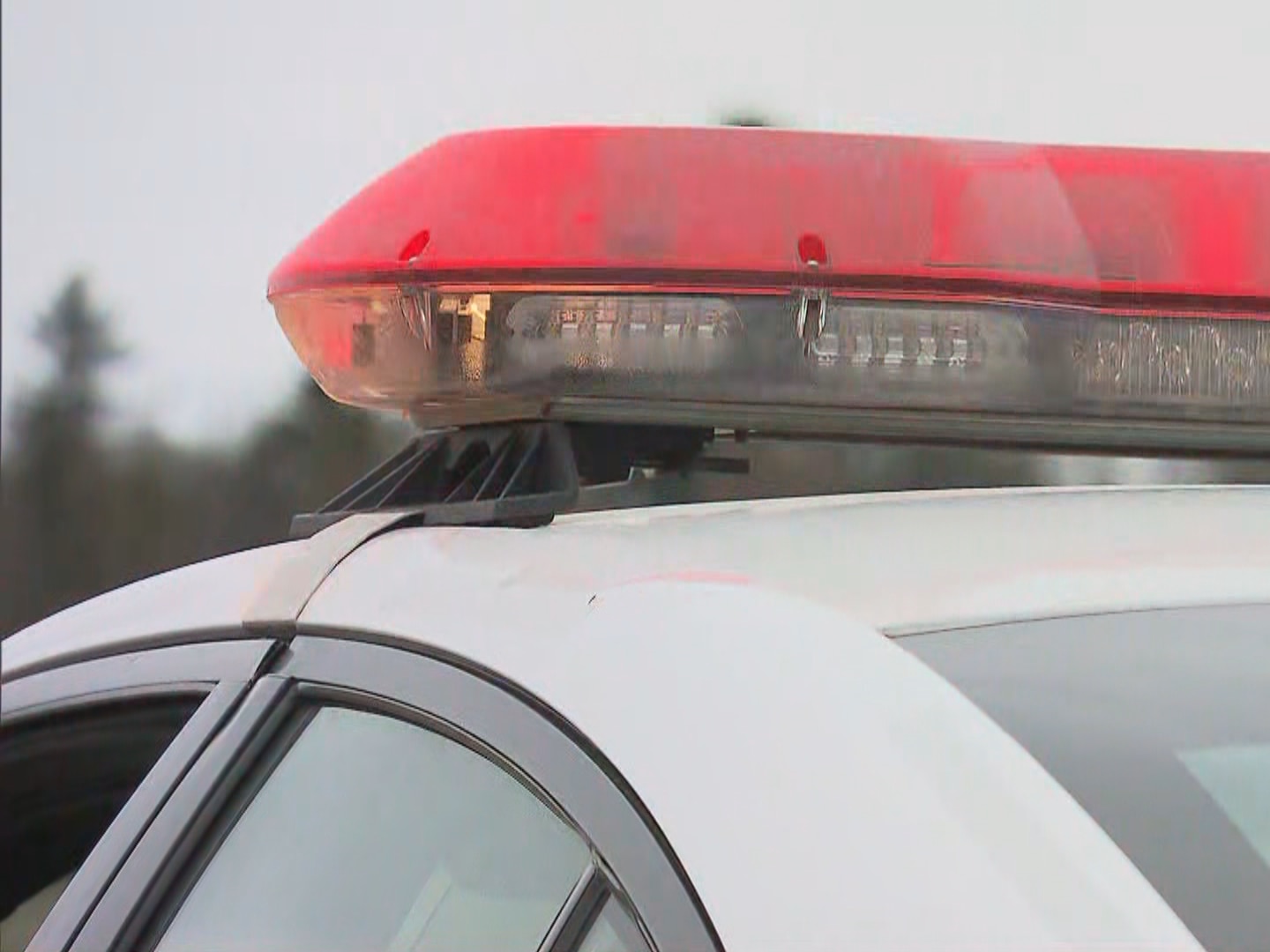 12 arrestations liées aux groupes criminels à Sept-Îles