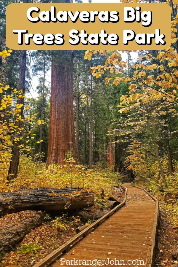 Calaveras Big Trees State Park - California