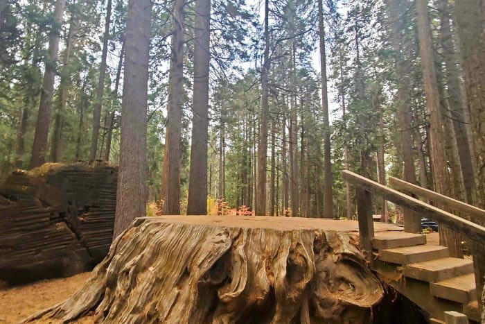 Calaveras Big Trees State Park - California