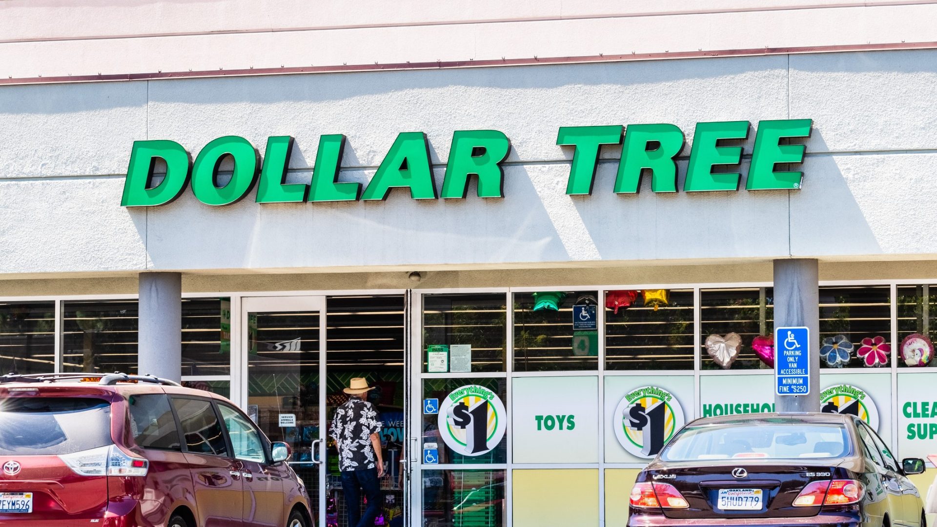 13 Best New Dollar Tree Arrivals for Your Money in April