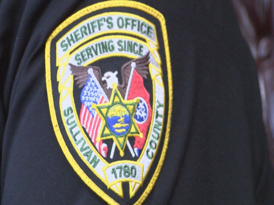 SCSO: Duo arrested after pursuit on I-81