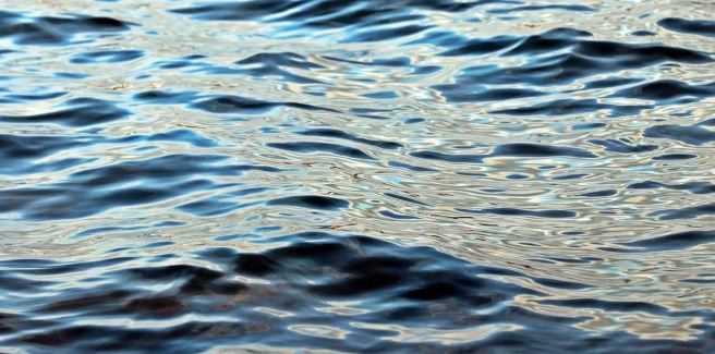 2 people, 2 dogs die in boating accident in South Carolina