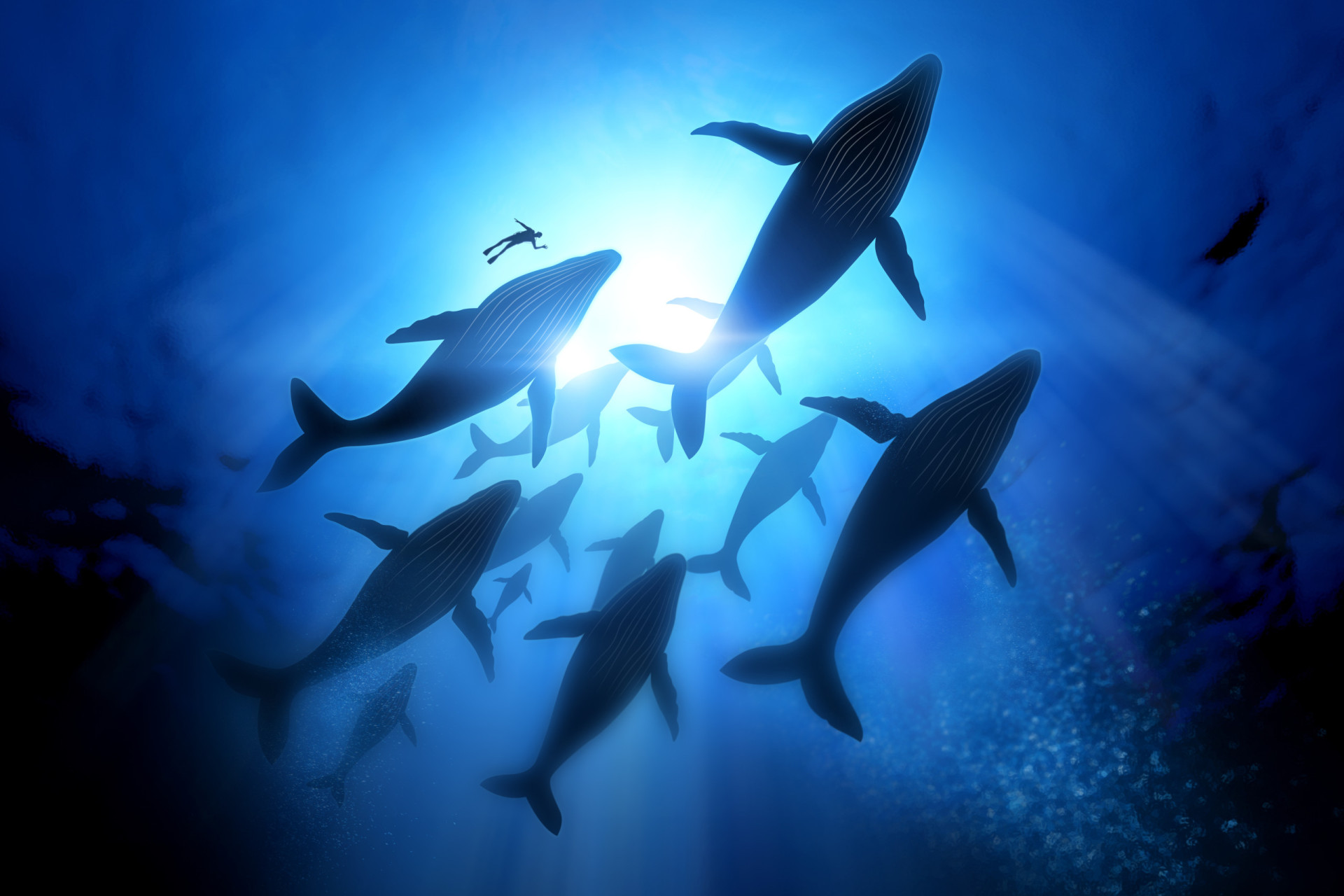 Why is whale poo so critical to our planet?