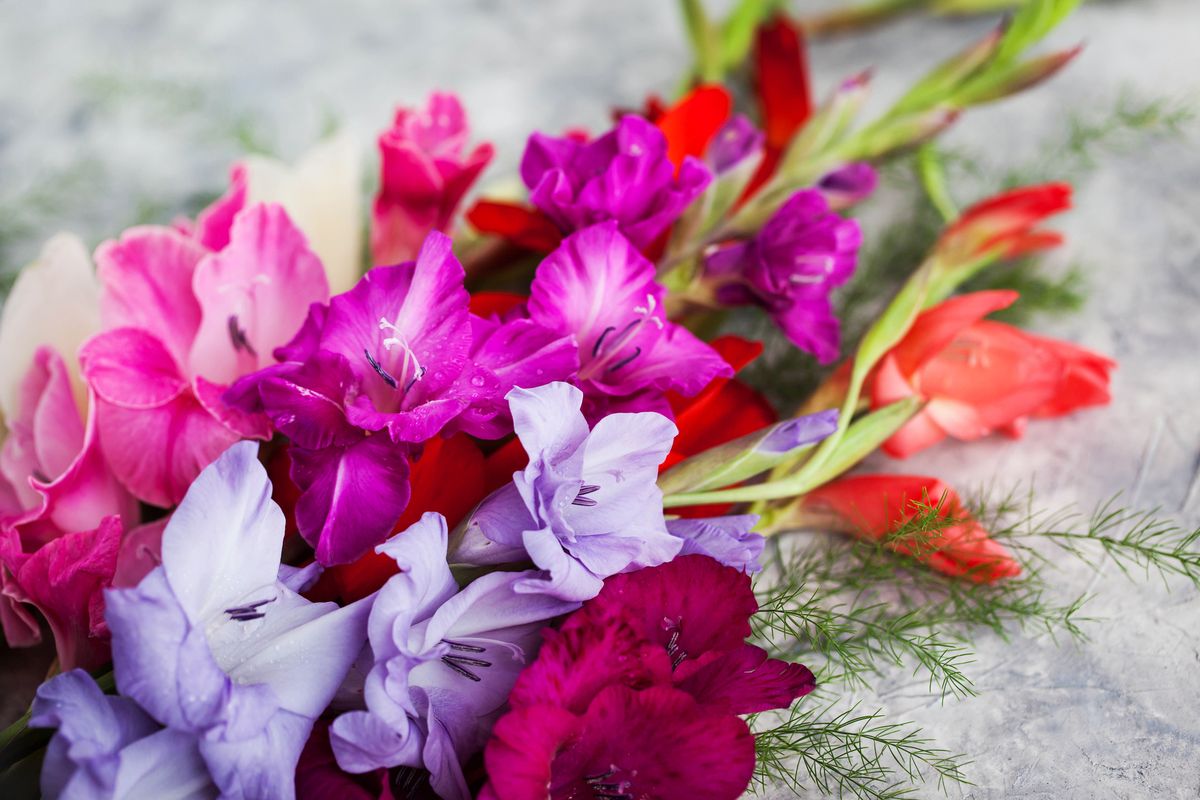 The Unique Meaning Behind Each Month's Birth Flowers