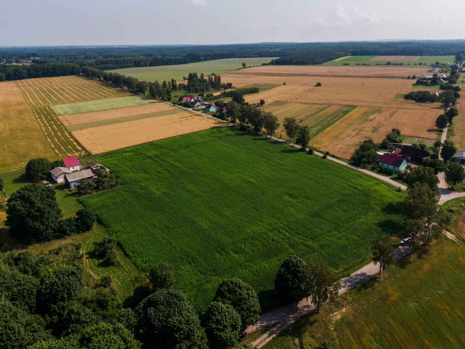 The positive impact of hemp on the planet