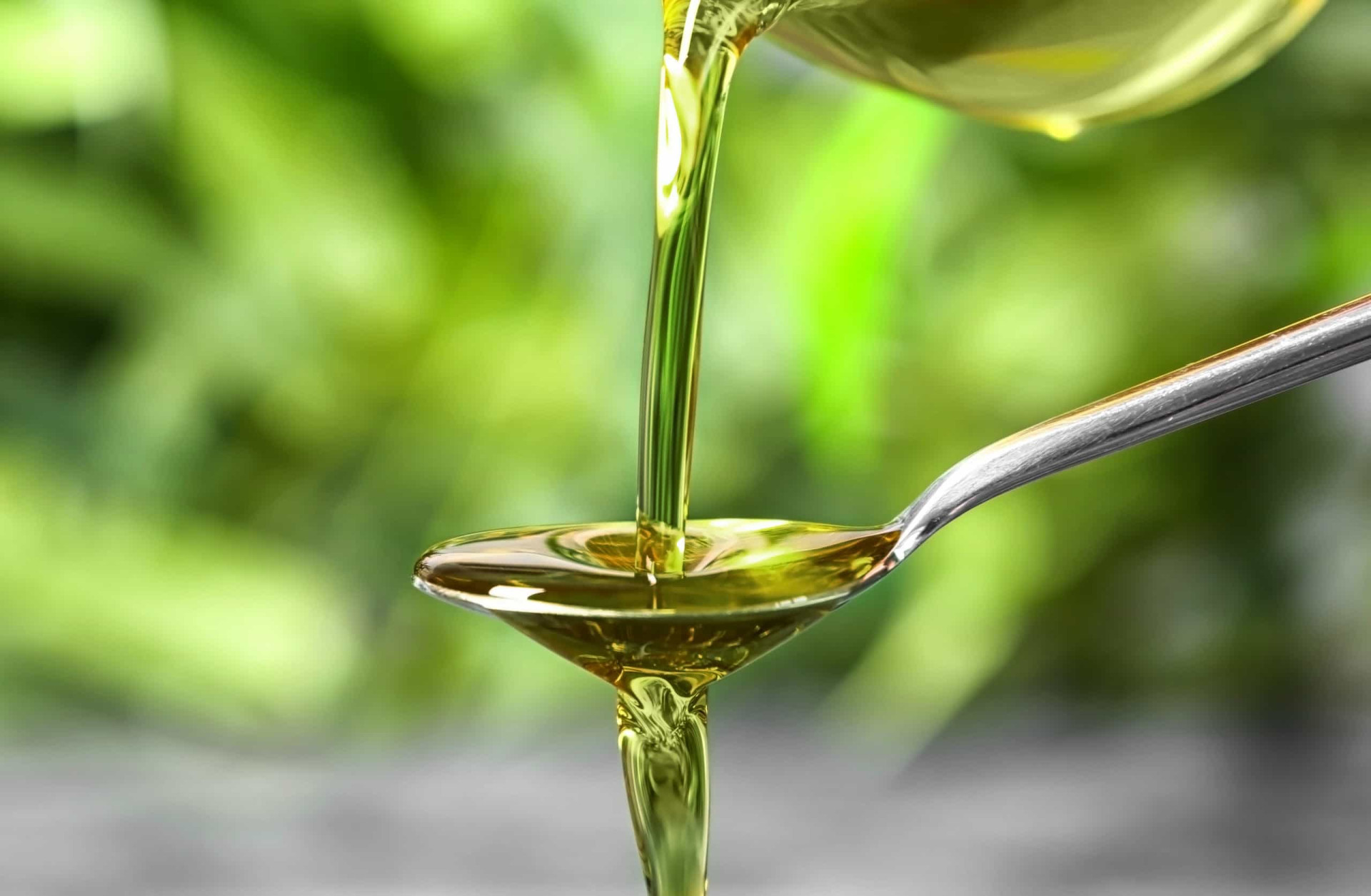 The positive impact of hemp on the planet