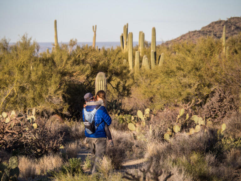 7 Fun Things To Do In Tucson With Kids - Choices For All Ages