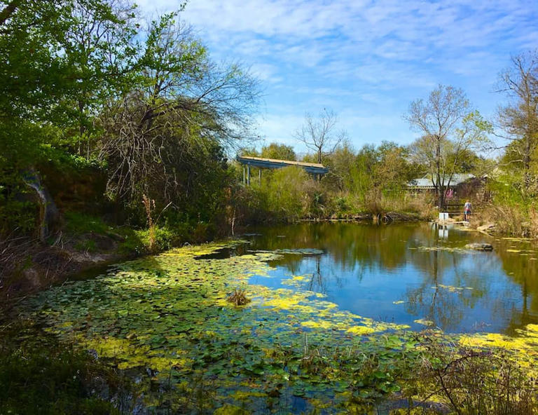 17 Fun Things to Do in Austin for a Weekend