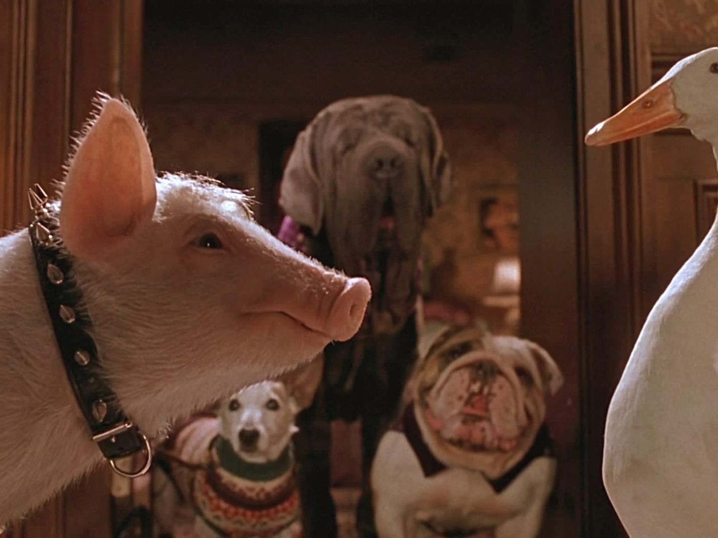Famous directors you didn’t know made kids’ movies