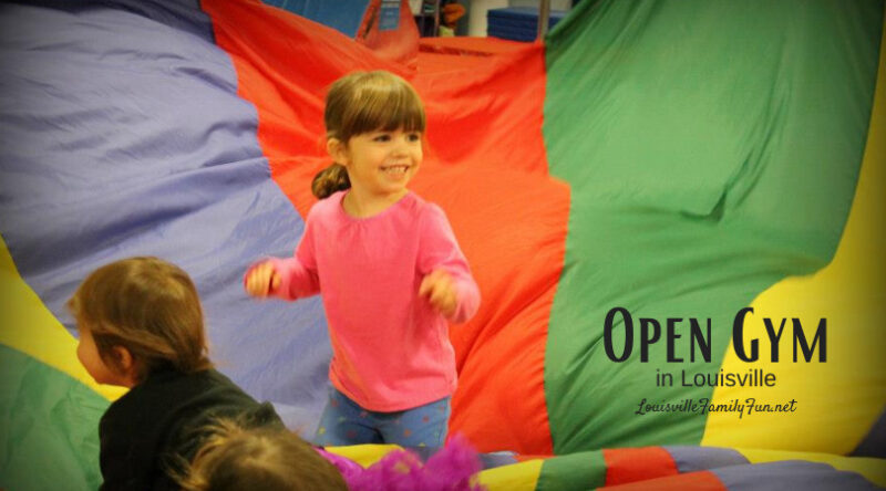 Top Ten Places for Indoor Fun in Louisville with Kids