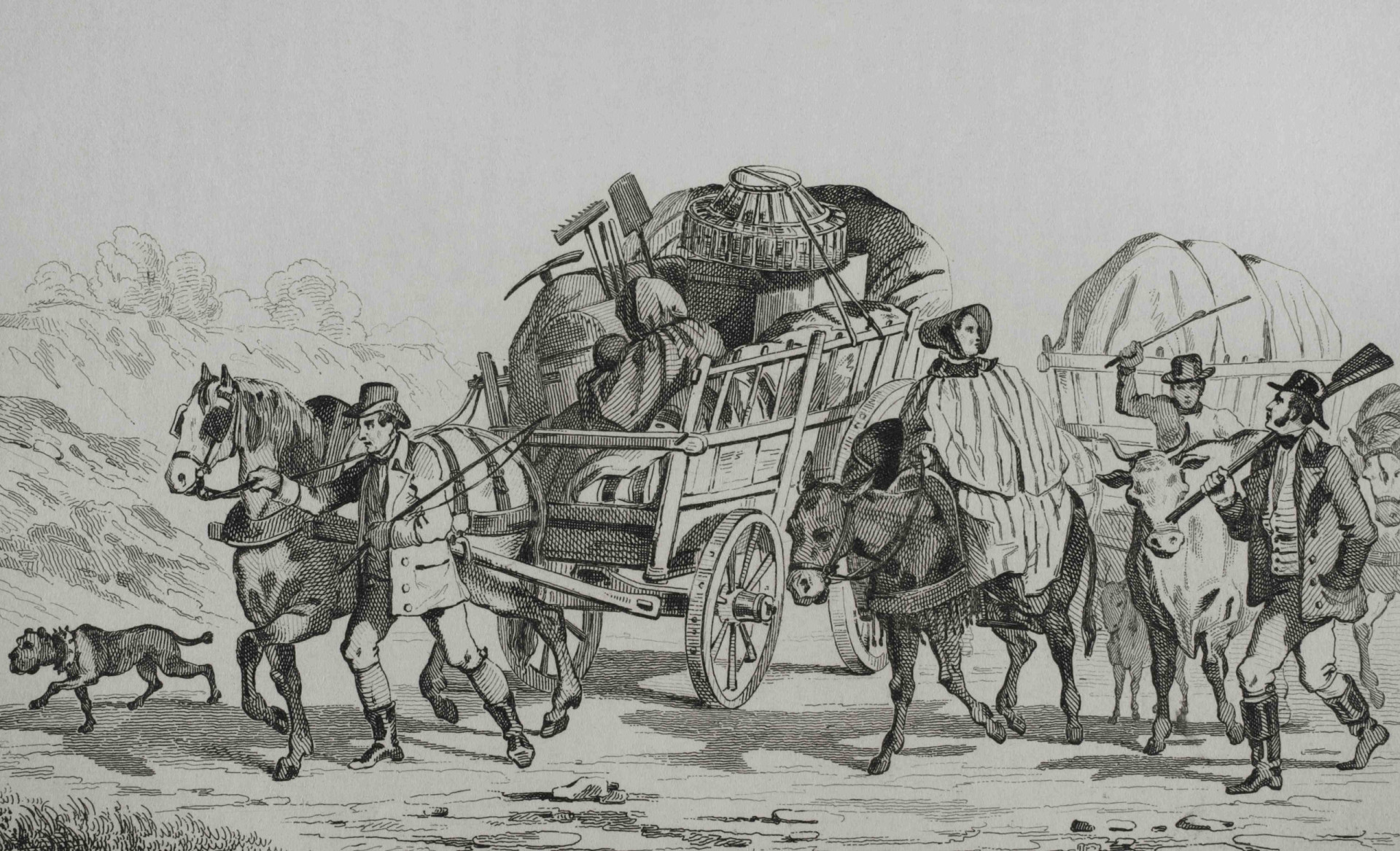 Cannibalism and massacres: The dark history of the Oregon Trail