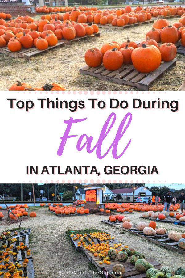 Fall in Atlanta: 10 Fun Things to Do