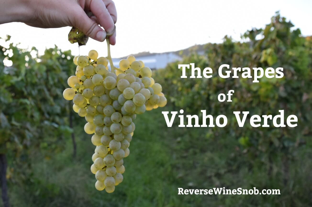 The Grapes of Vinho Verde - Alvarinho and Loureiro