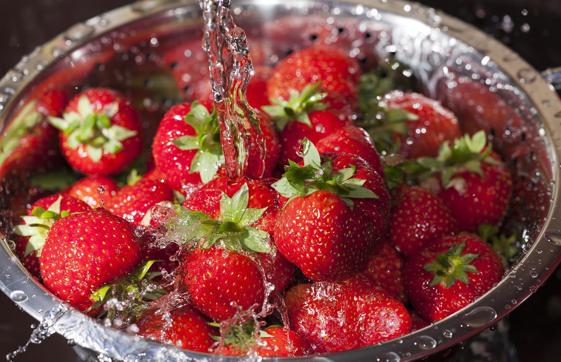 42 scarily common food errors that could poison you