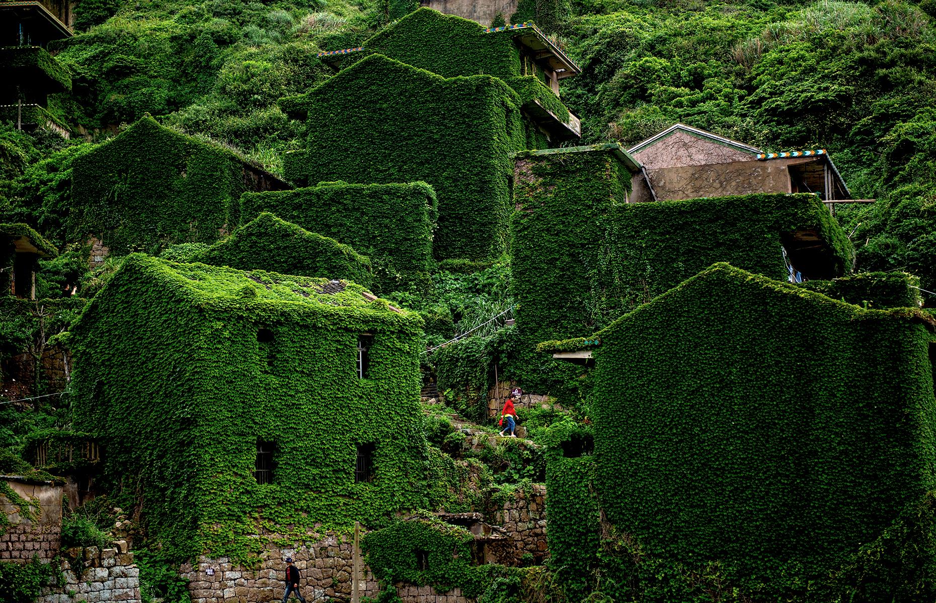 Fascinating ruins where nature is taking over