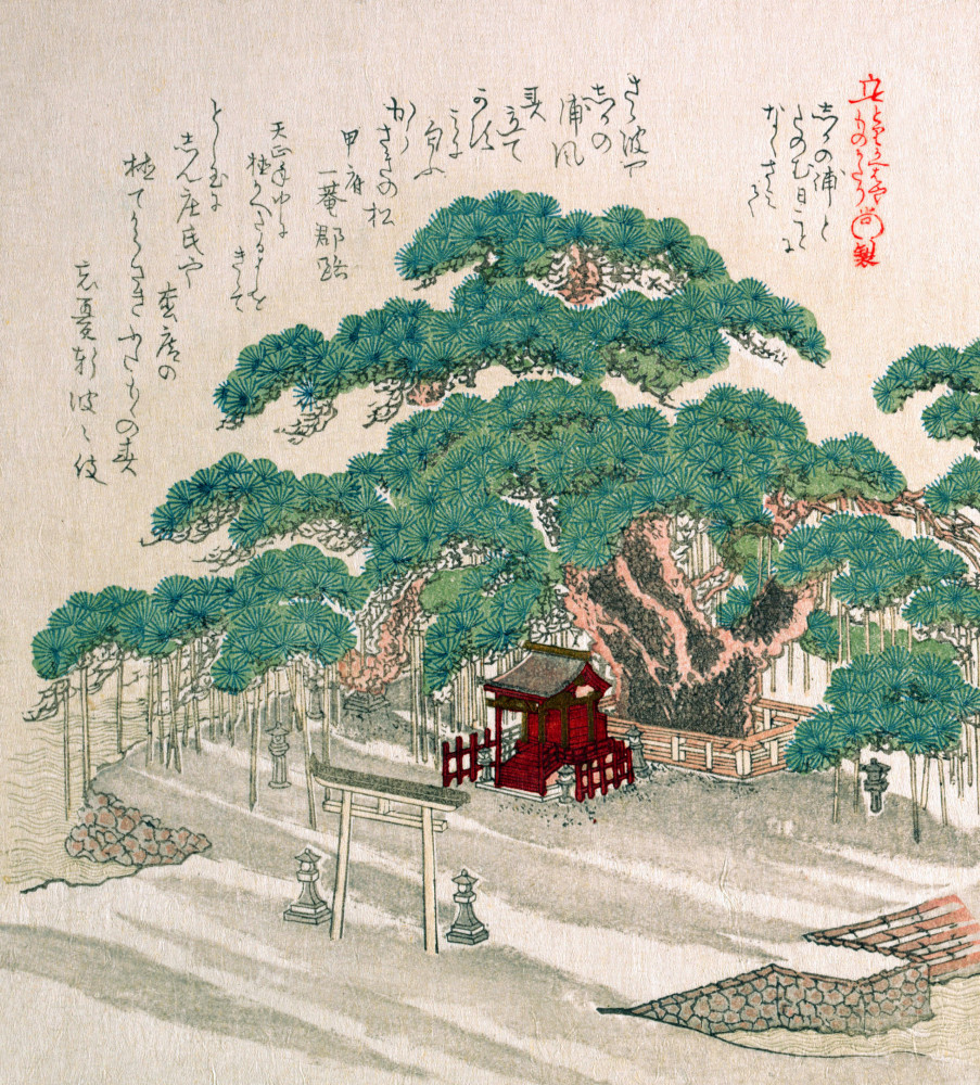 The Japanese art of haiku: small poems for universal feelings