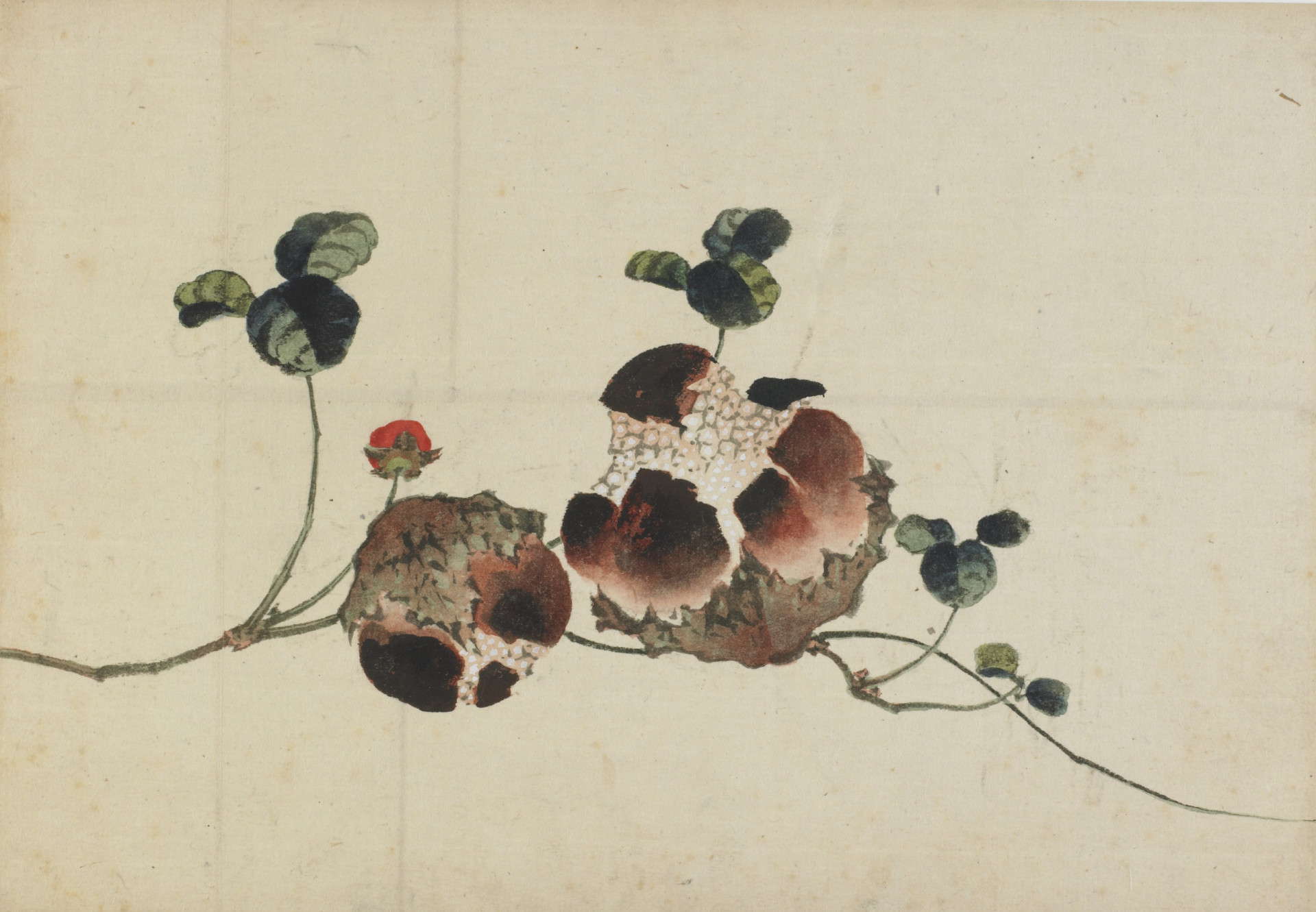 The Japanese art of haiku: small poems for universal feelings