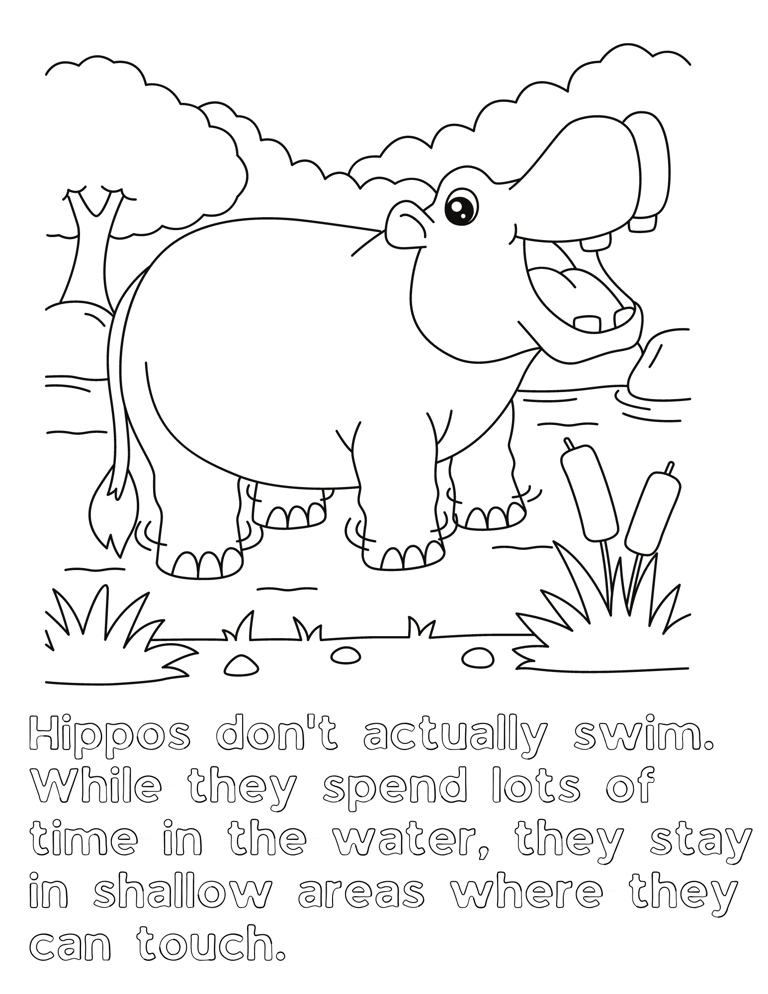 6 Cute Hippo Coloring Pages