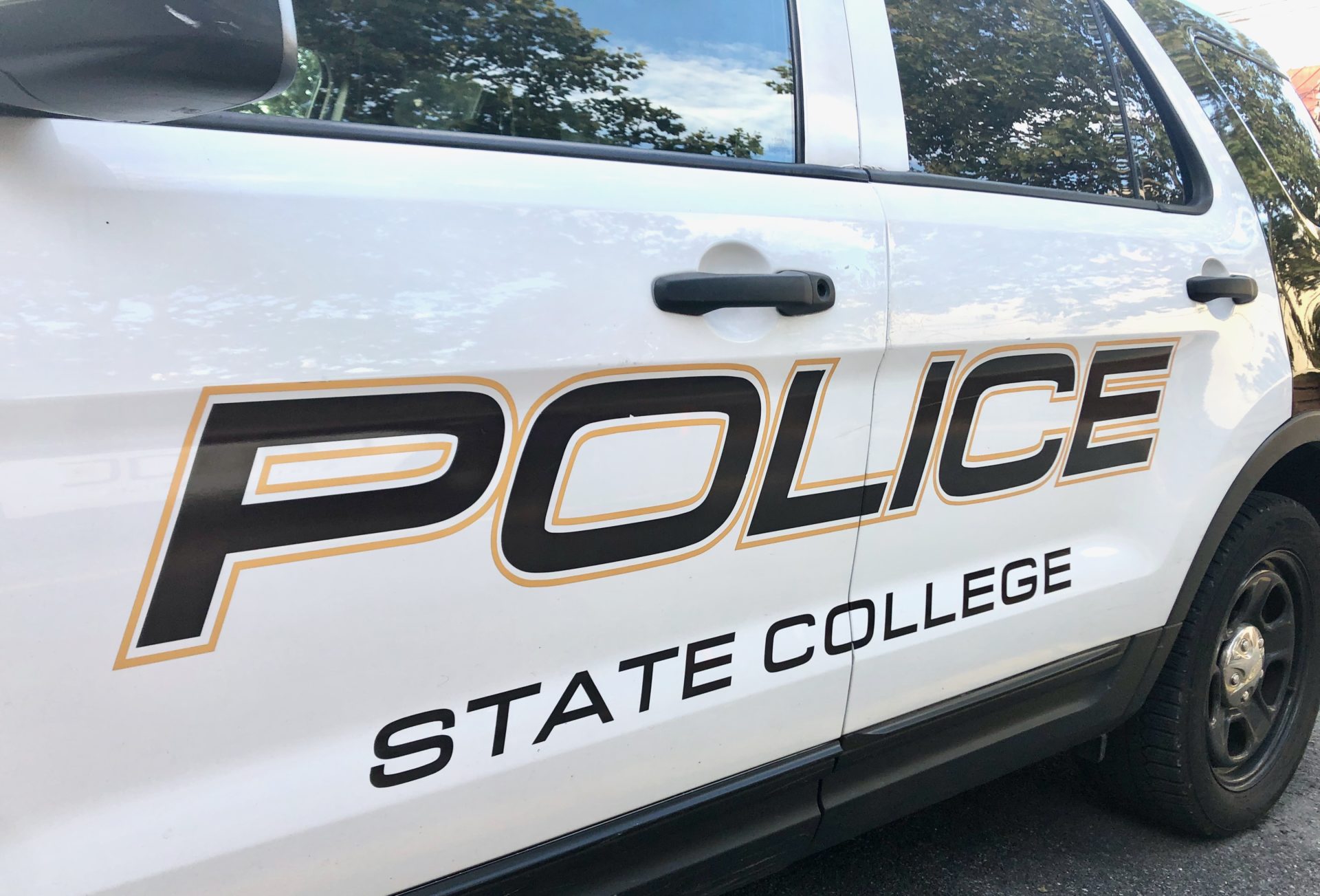 Police: Drunk driver damaged cars near State College, kicked ER nurse ...