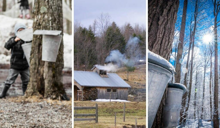 Visit These 13 Vermont Sugar Houses to Learn How Maple Syrup is Made