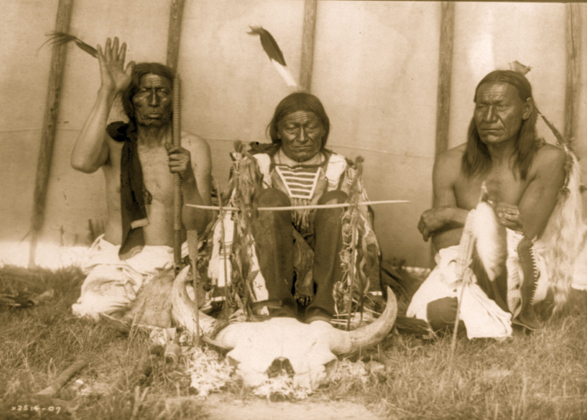 Cultures that recognize more than two genders