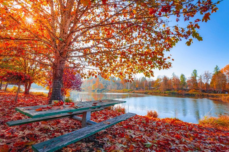 14 best fall vacations in the South
